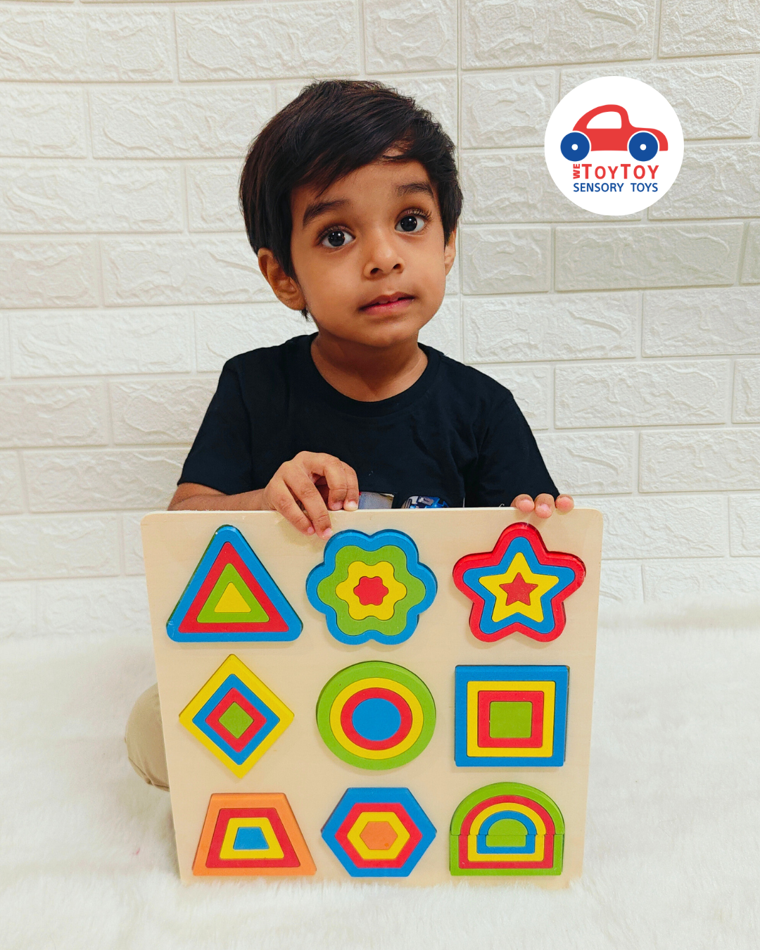 Wooden Geometric Shapes Puzzle Learning Toy (Big Size) – WeToyToy